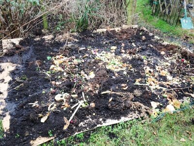 Lasagna Gardening. Sheet Composting or Layer Garden