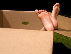 Square Foot Gardening: How to do a Sq Ft or Box Garden